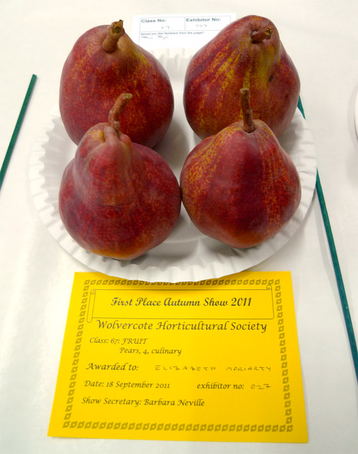 oxfordpomona: Village Show - fruit categories