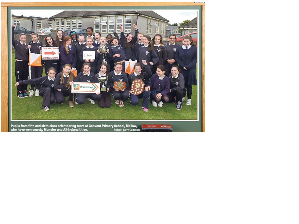 IOSG: Successful Cork primary schools