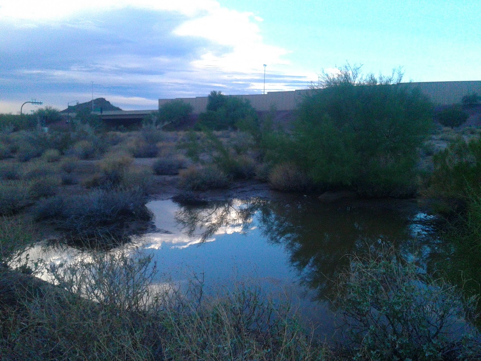Buffalo Ridge Disc Golf Course