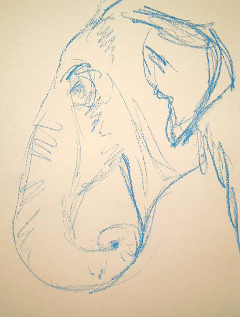 An Elephant a Day: Elephant No. 163: Gesture Drawing