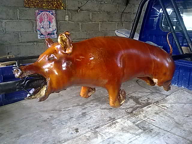 TAKSU BALI: Cara Membuat Babi Guling Traditional Bali