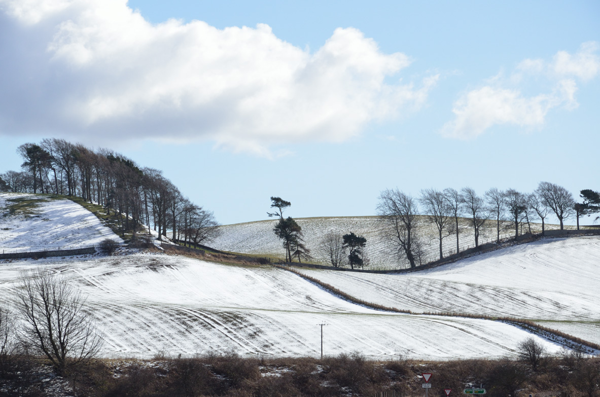 North Fife: Landscape North Fife