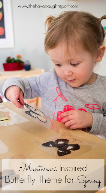 Toddler Butterfly Theme for Spring