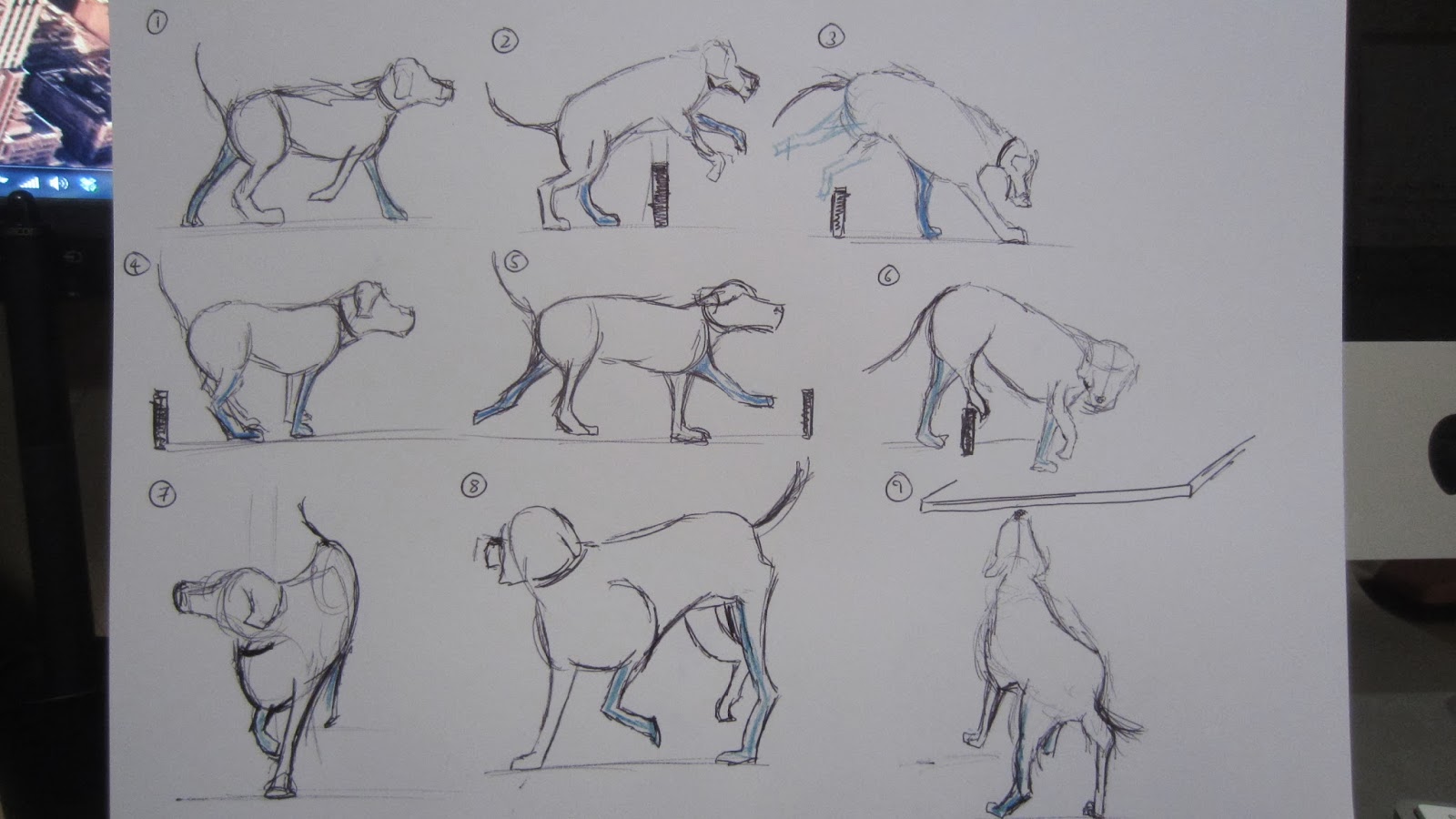 Andymotion Blog: Storyboard and more references - Dog Animation Part 2
