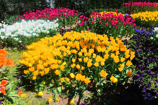 Jalan - jalan Turki 2016: Musim bunga di Istanbul ~ Alhamdulilah...di ...