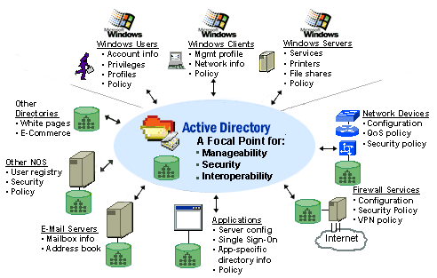 Tailwind Transportation Software: Understanding Active Directory