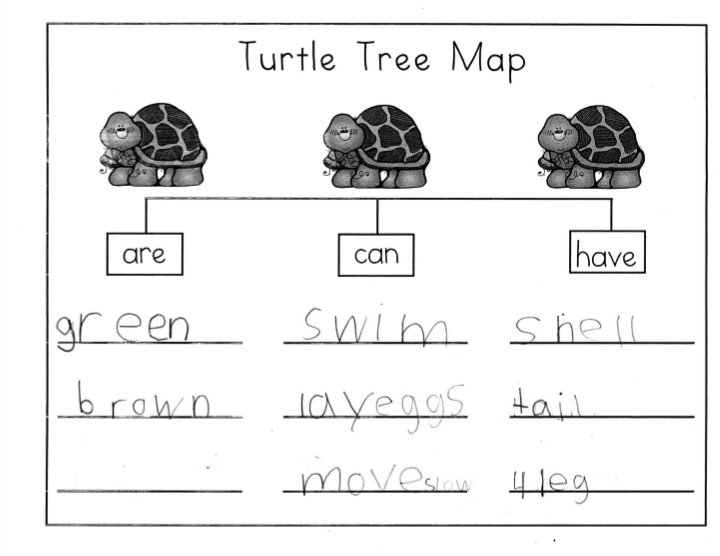 Mrs. Ricca's Kindergarten: Nonfiction Writing {Turtles}