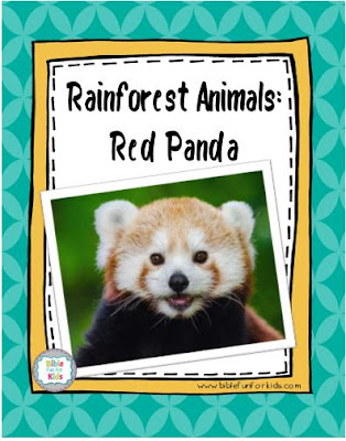 God Makes the Rainforest animals: Red Panda | Bible Fun For Kids