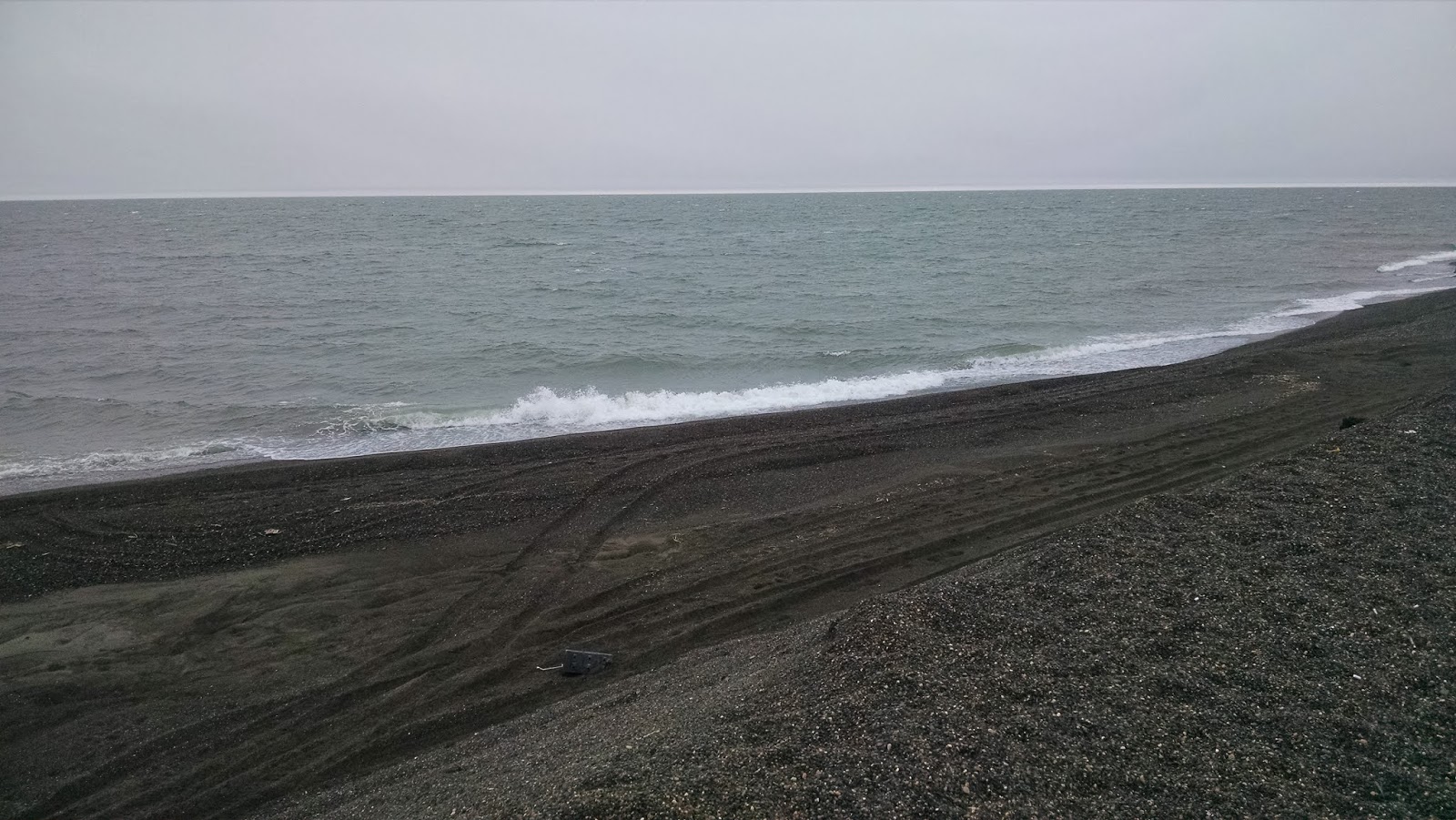 Birding on the Frontier: Sea Watching in Utqiagvik (Barrow), Alaska
