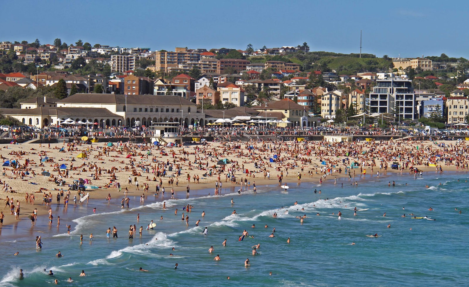 The Sydney Pulse: Summer at Bondi Beach