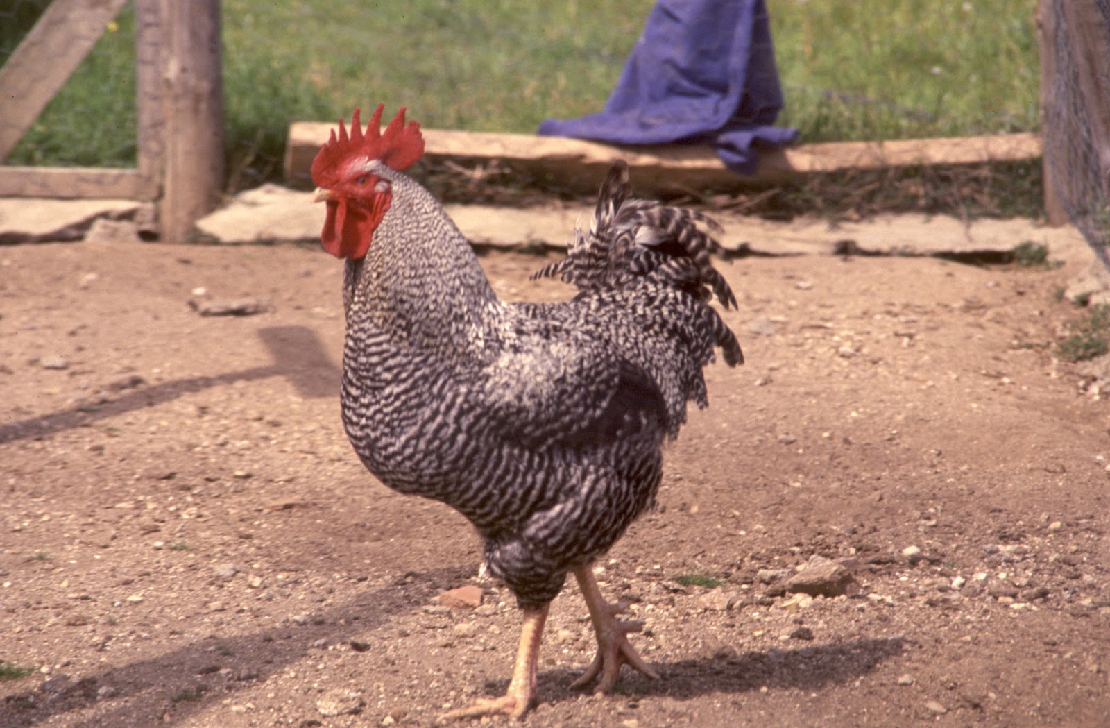 Alba García y Esther Capilla: febrero 2011