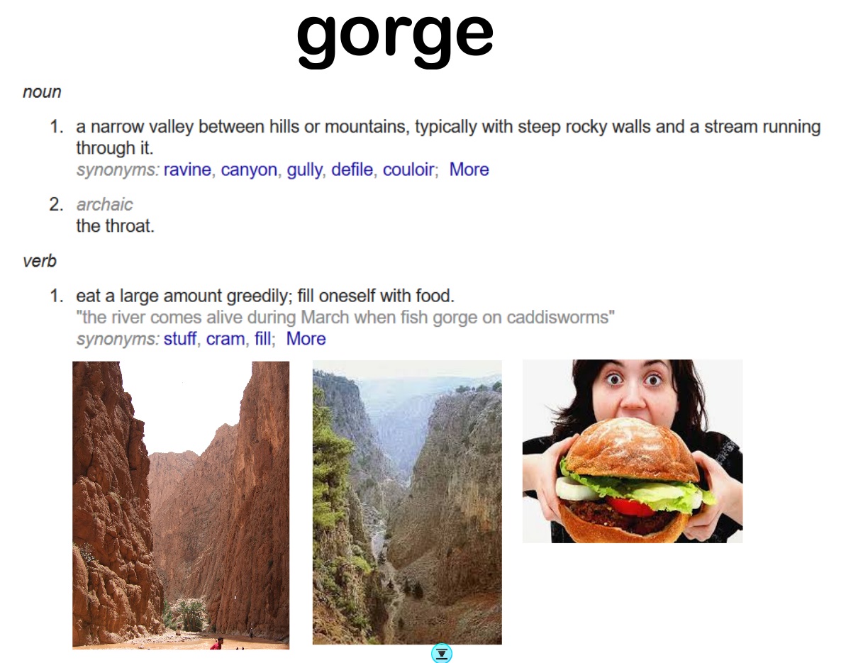 Language Learning and Digital Technology: Question Forms - Monty Python ...