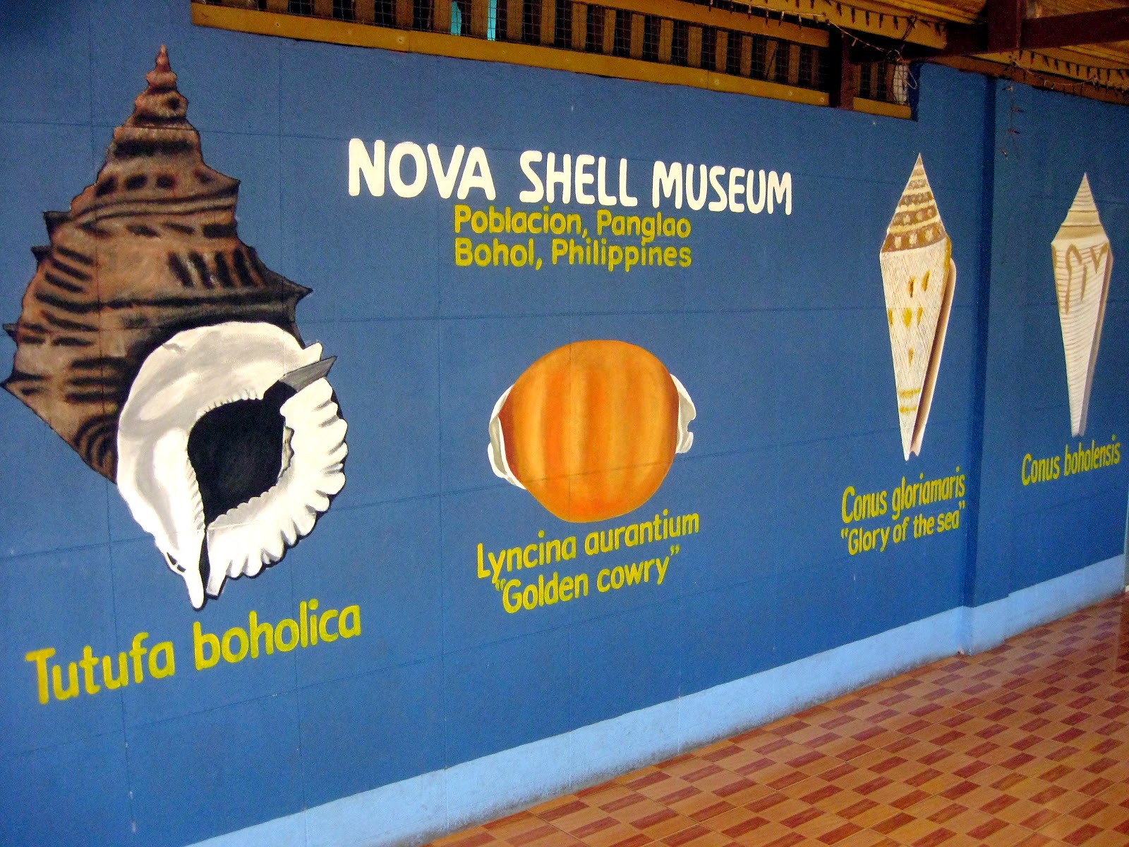 Turning Boholano: The Nova Shell Museum of Bohol