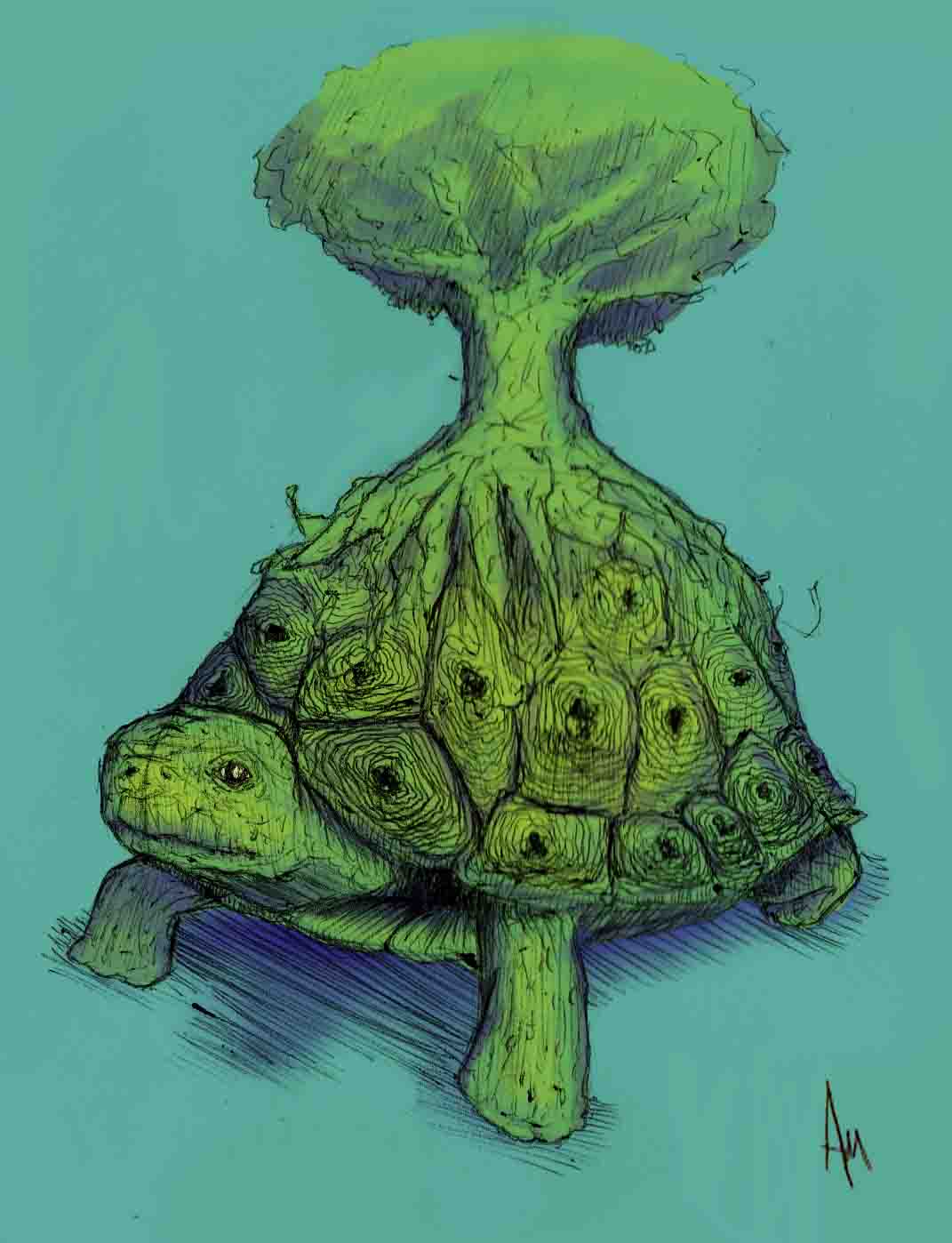 The Art of Adrian Martinez: a tree turtle...