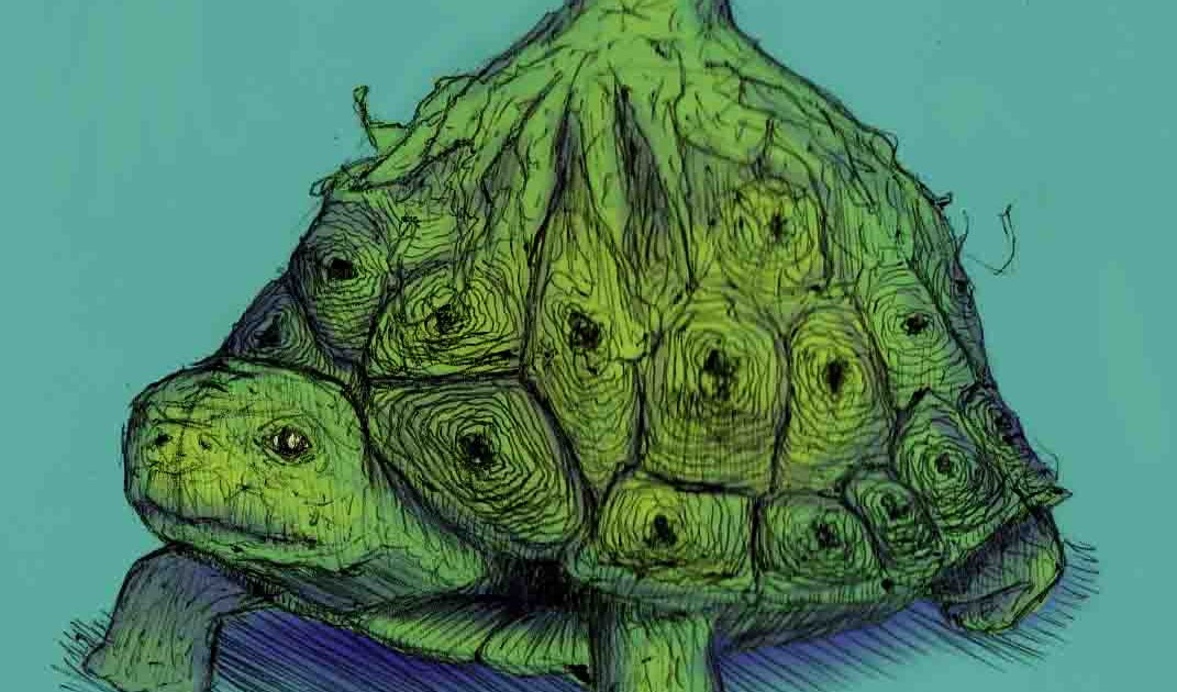 The Art of Adrian Martinez: a tree turtle...