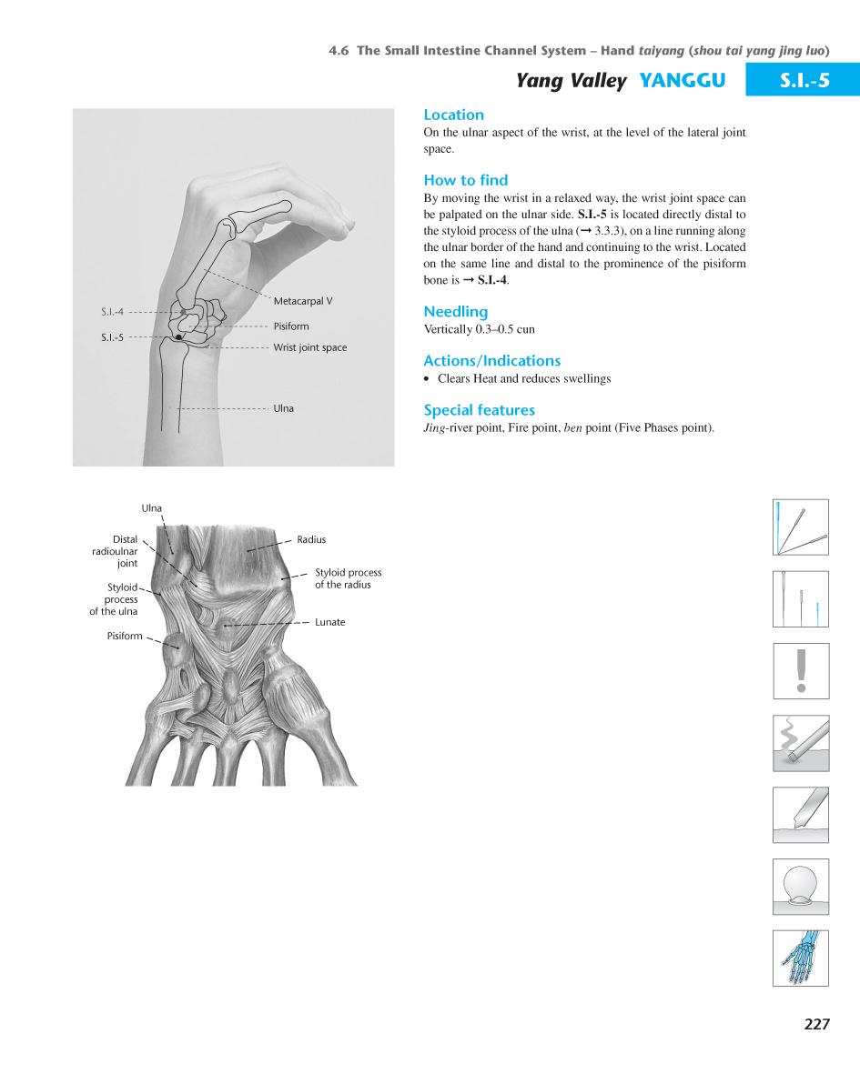 Acupuncture Masters: Acupuncture Points Database - Small Intestine Channel