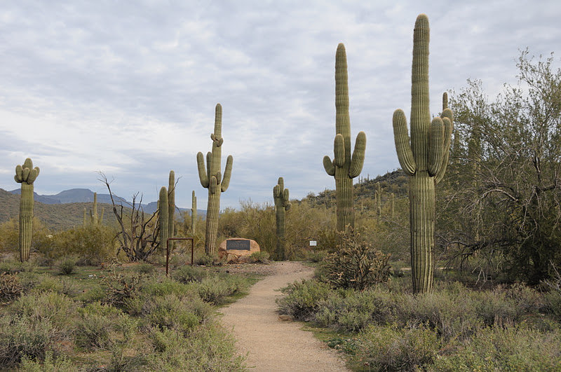 Arizona Hiking: 1/22/12 - 1/29/12
