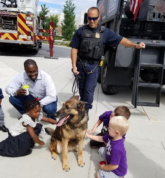 PGPD News: July 2017