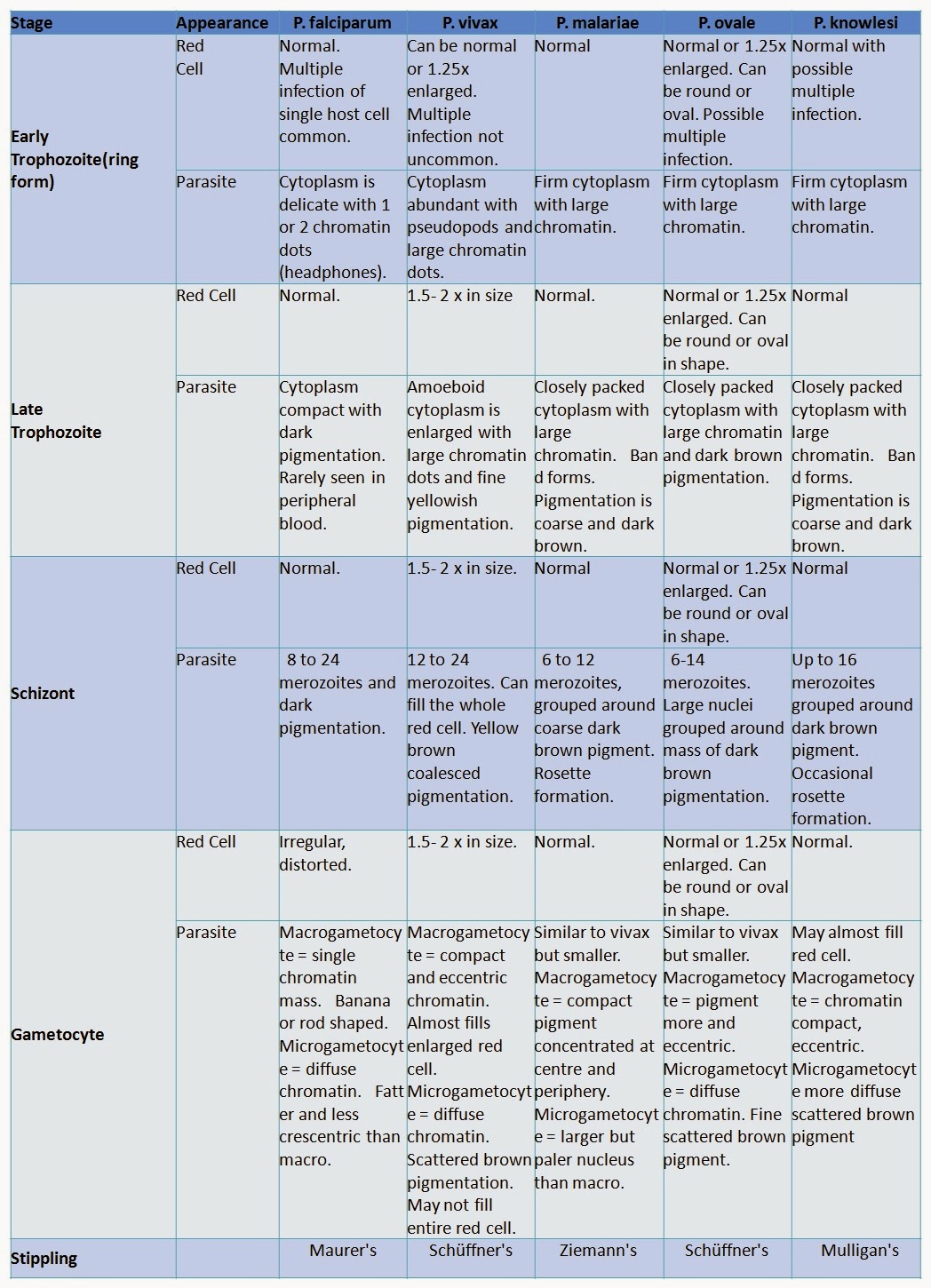 Haematology in a NutShell: Morphological Characterisitics for the ...