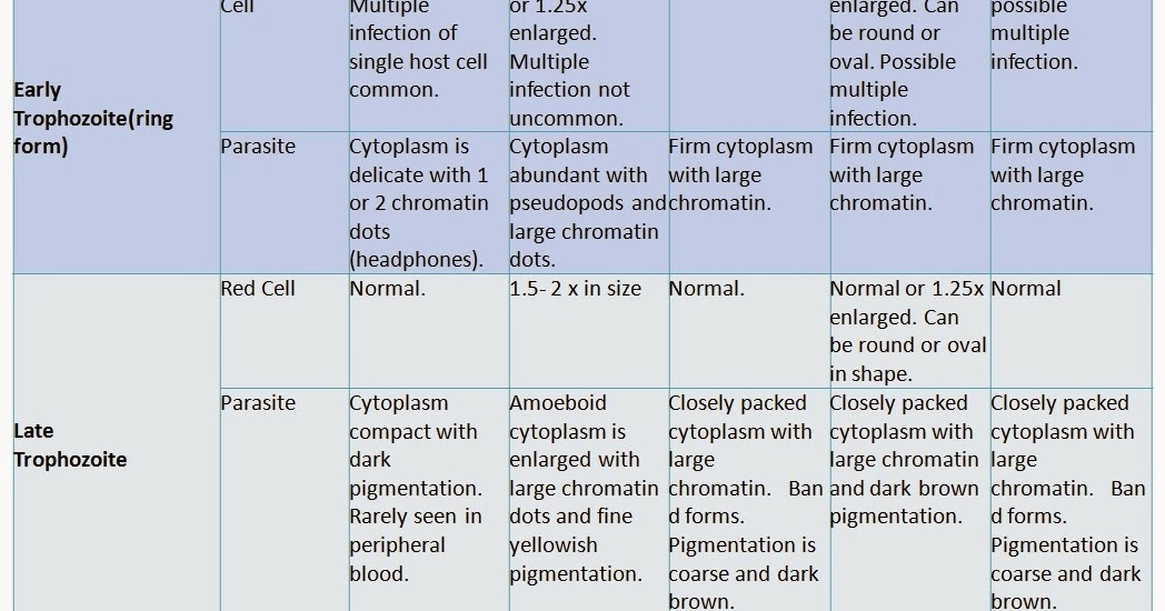 Haematology in a NutShell: Morphological Characterisitics for the ...