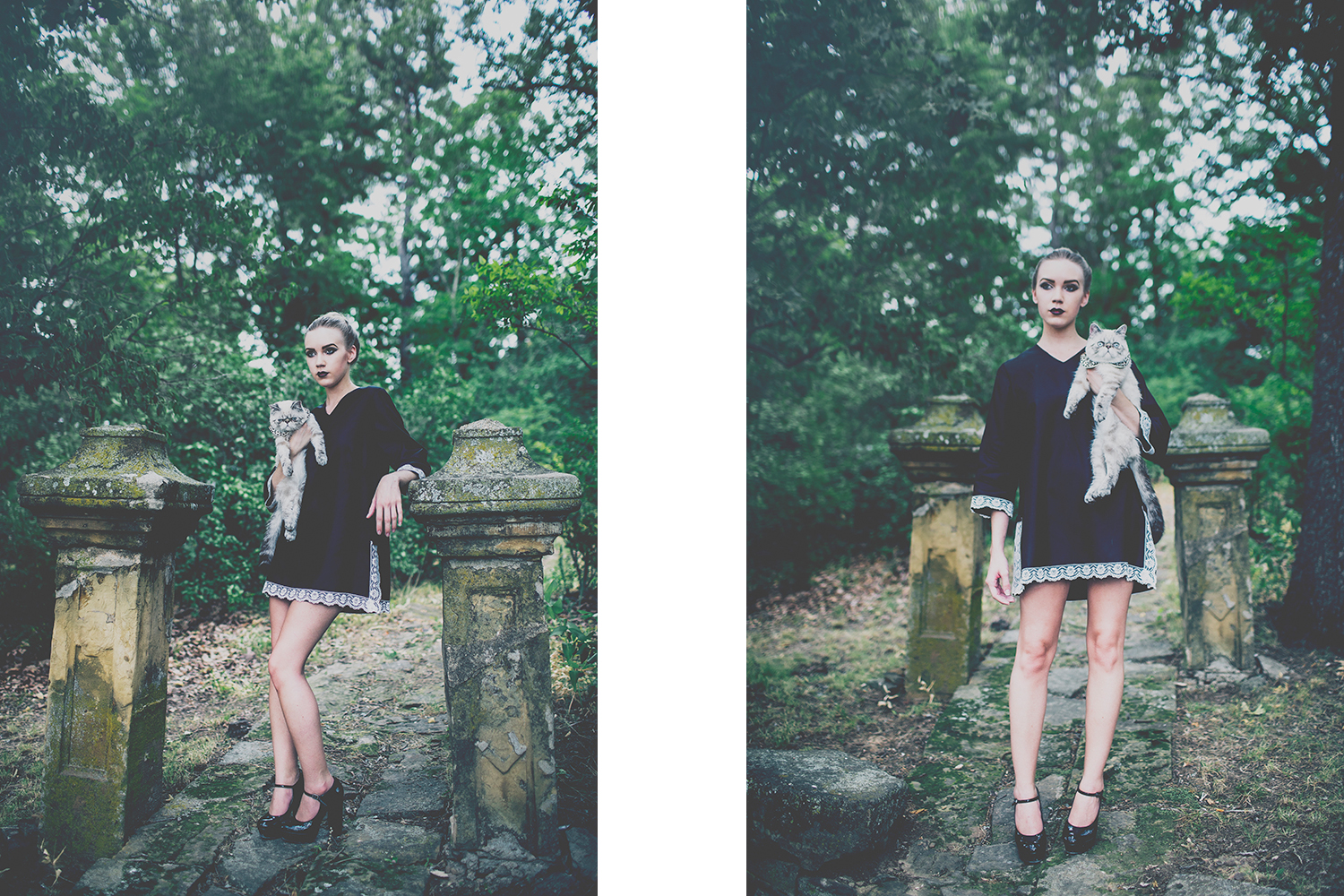 ASHLEY TREECE: BLACK CHERRY VINTAGE