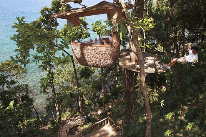 Amazing Tree Top Restaurant in Thailand (7 pics) | Daily Fun Pics