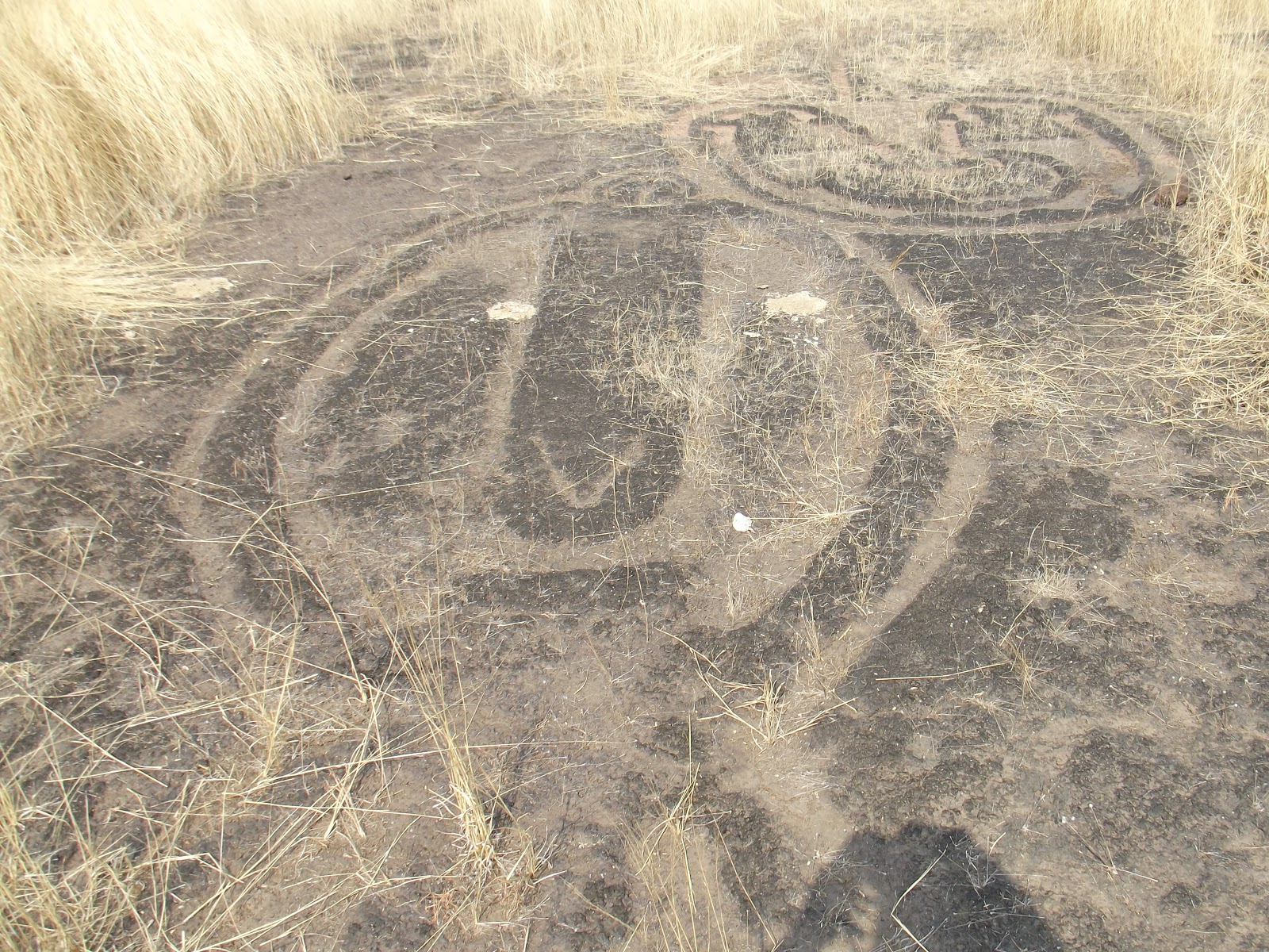 डोंगर भाऊ ( Dongar Bhau ): Offbeat Kokan गुढरम्य कातळशिल्प (Rock art ...