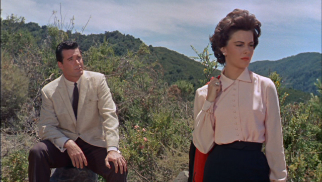 Love Music Wine and Revolution: Cash McCall (1960)