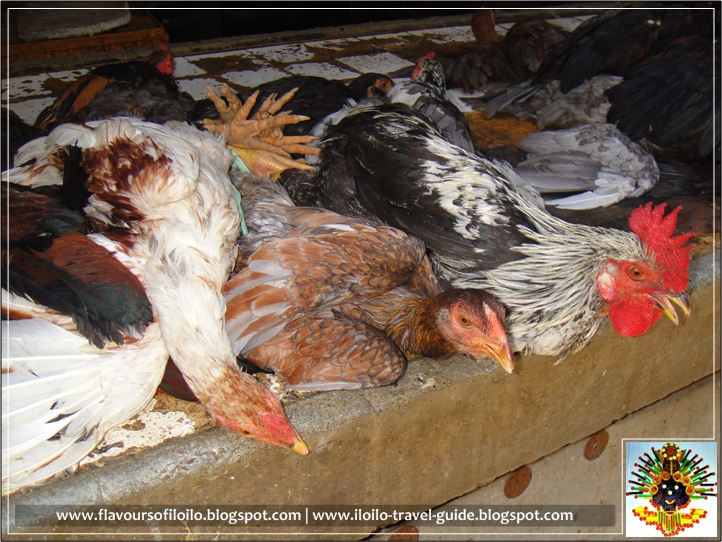 Kadyos, manok kag ubad