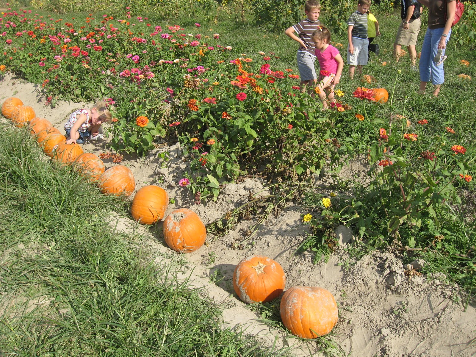 heartnbutterfly's Laundry List: Montz Pumpkin Farm & Hayride Review