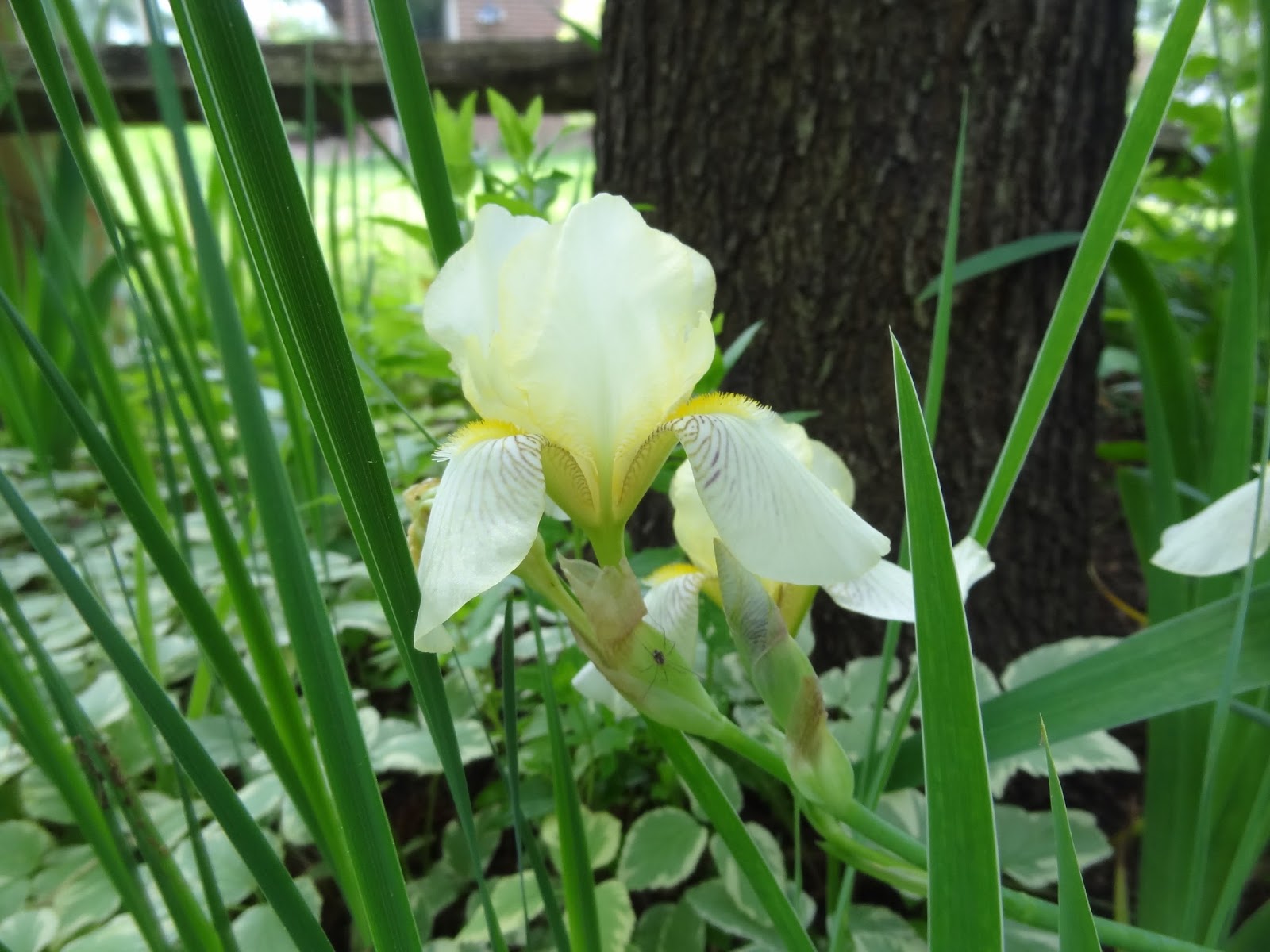 Live and Learn-Toss and Turn: 06/01/2016 - 07/01/2016