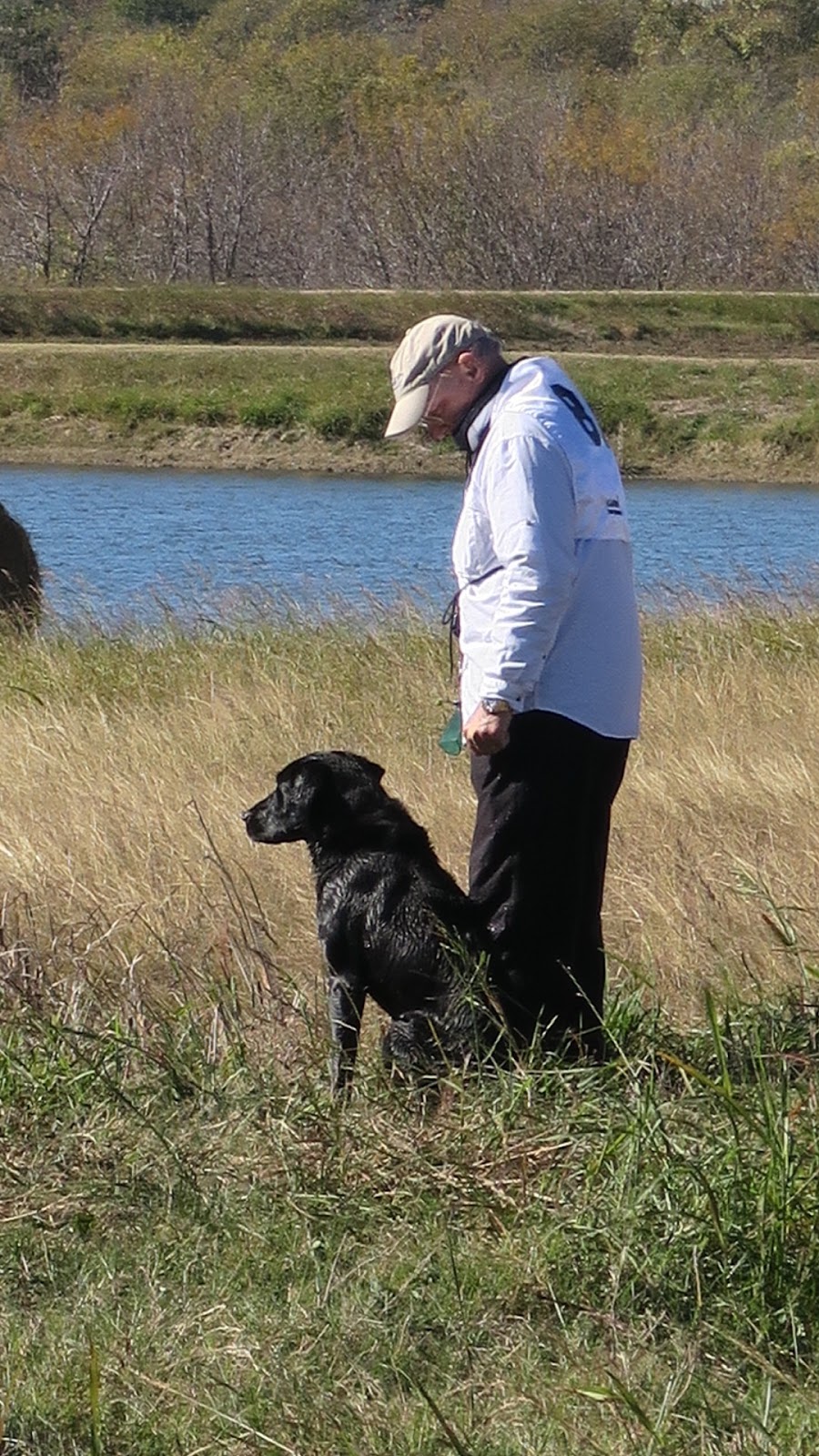 2016 NRC: Rerun 89. FC-AFC Windy City's Mighty Mouse, "Mickey", LM ...