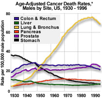 QUIT SMOKING WITHOUT PAIN: DOES SMOKING CAUSE LUNG CANCER?