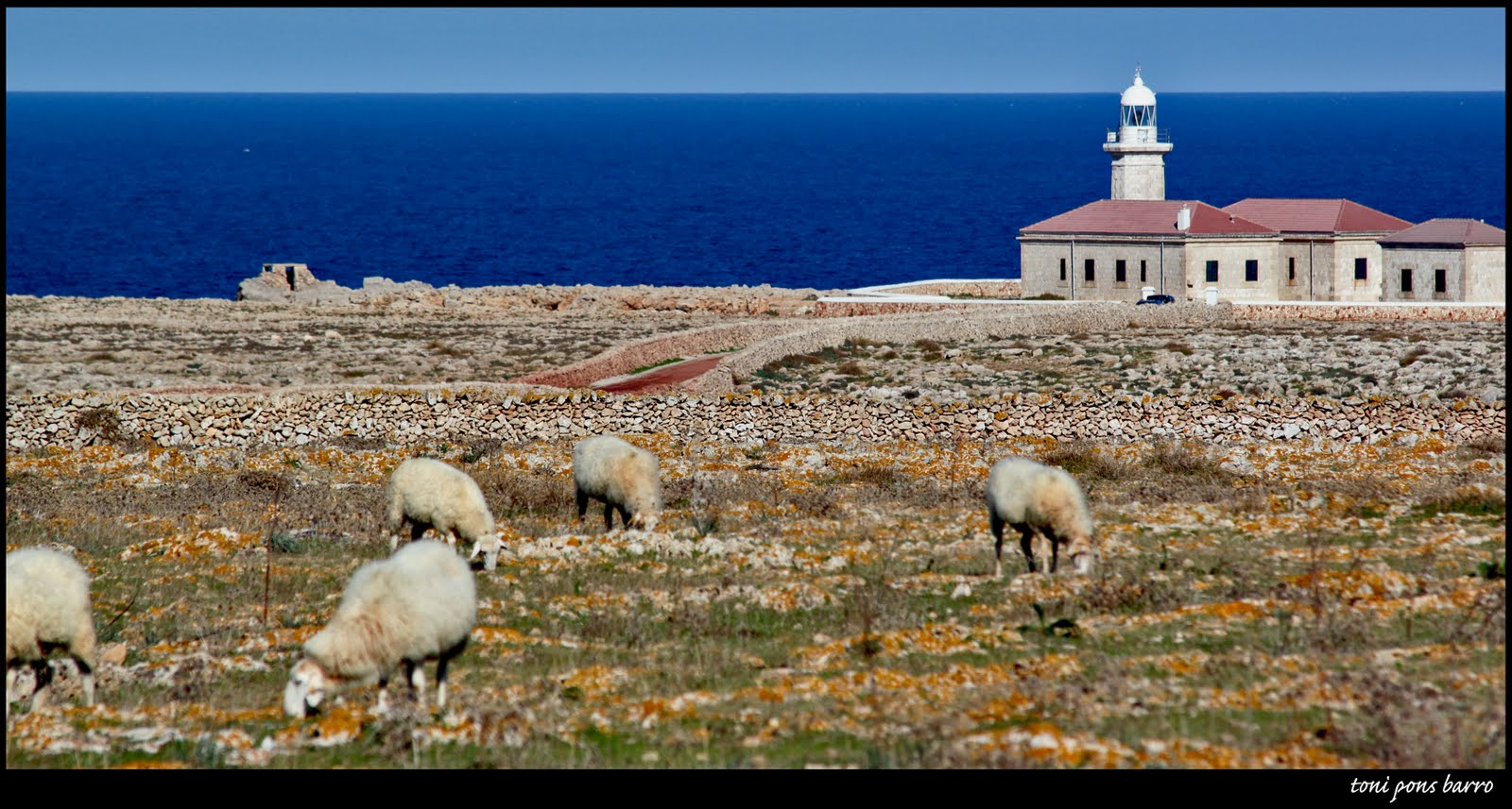 -MENORCA-: Punta Nati.