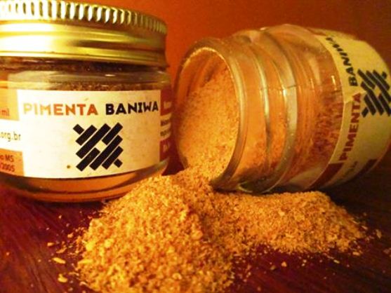 A PIMENTA BANIWA - AMAZÔNIA ACONTECE
