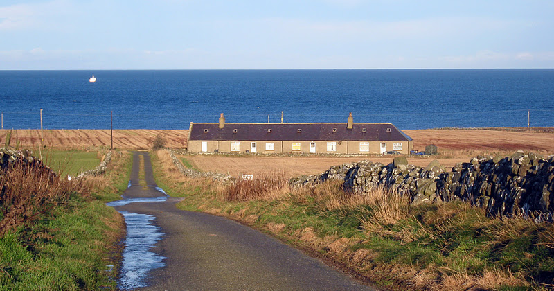 walking the rainbow trail: Pittulie: Making winter hay whilst the sun ...