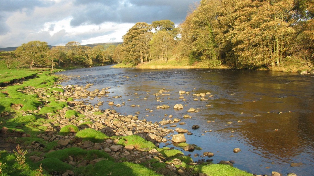 Yorkshire rivers: March 2012