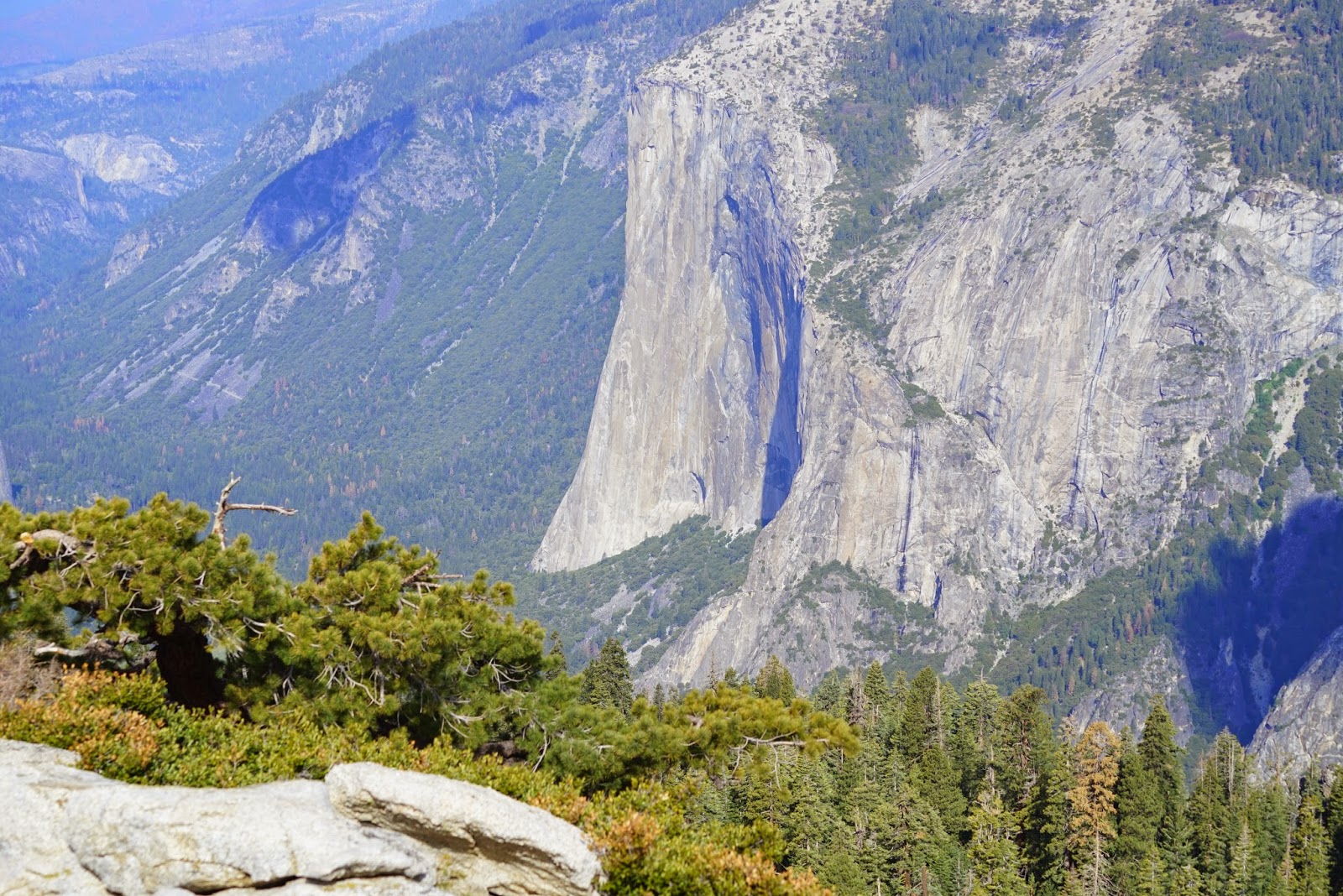 Mid Sierra Musings: Glacier Point Road In Yosemite National Park