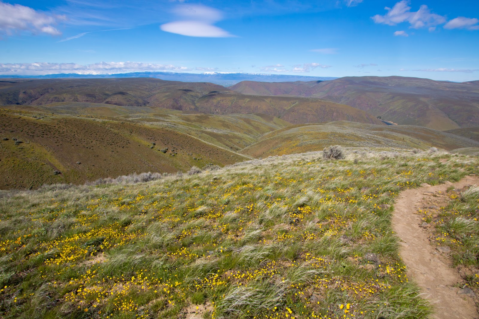 Hiking Shenandoah: Umtanum Ridge Crest