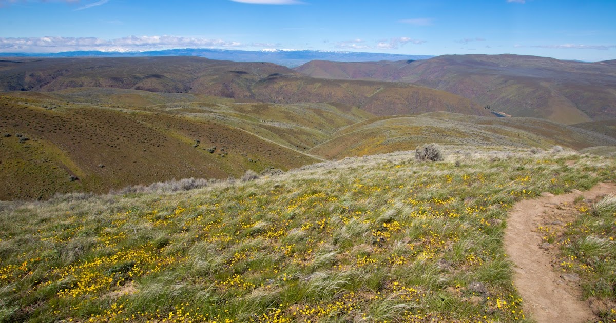 Hiking Shenandoah: Umtanum Ridge Crest