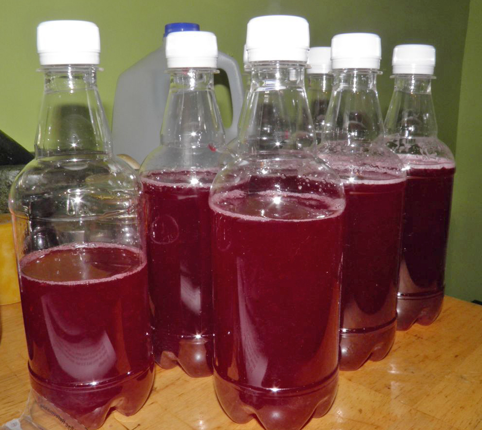 Docaitta Lifestyle: How To: It’s Alive!!! (the soda, that is…)