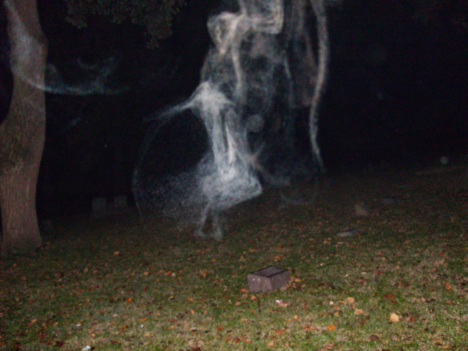 Dark Lucidity: Ectoplasm, Unseen Entities, and Gatekeepers in Haunted ...