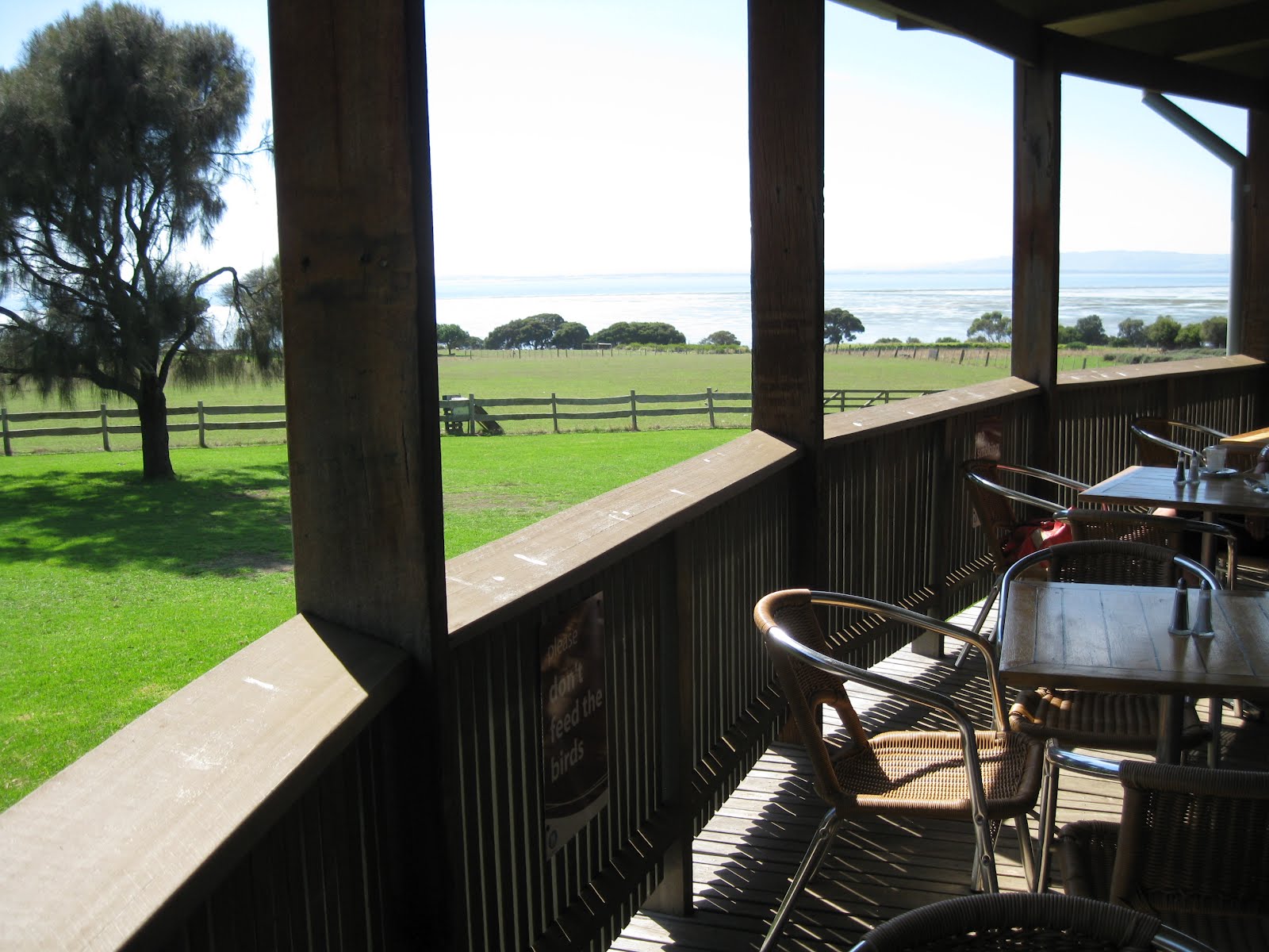Robin's Double Life: Moonah stump: entrance to Churchill Island