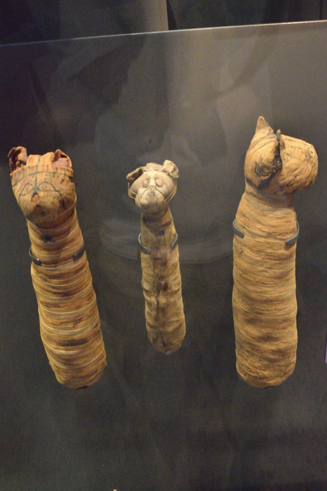 Things that make me go aagghh!: Making the most of a week off work