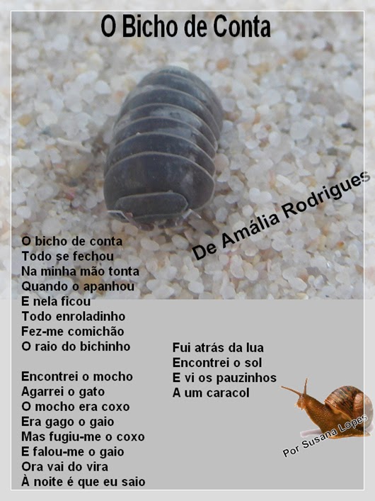 ♥Amália, a Poesia & os Poetas♥: O bicho de conta