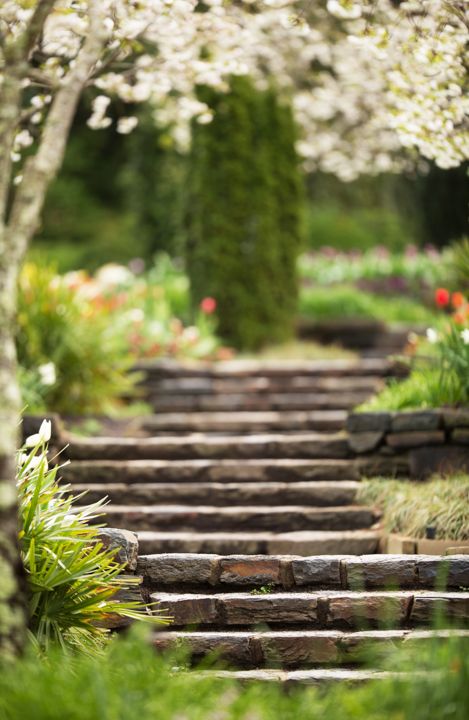 Natural Backgrounds for Photo Editing | Picsart