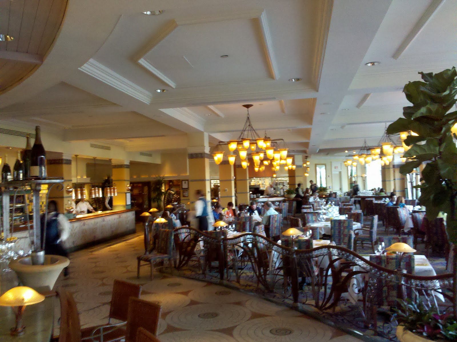 Review: Citricos at The Grand Floridian Resort & Spa - The World of Deej
