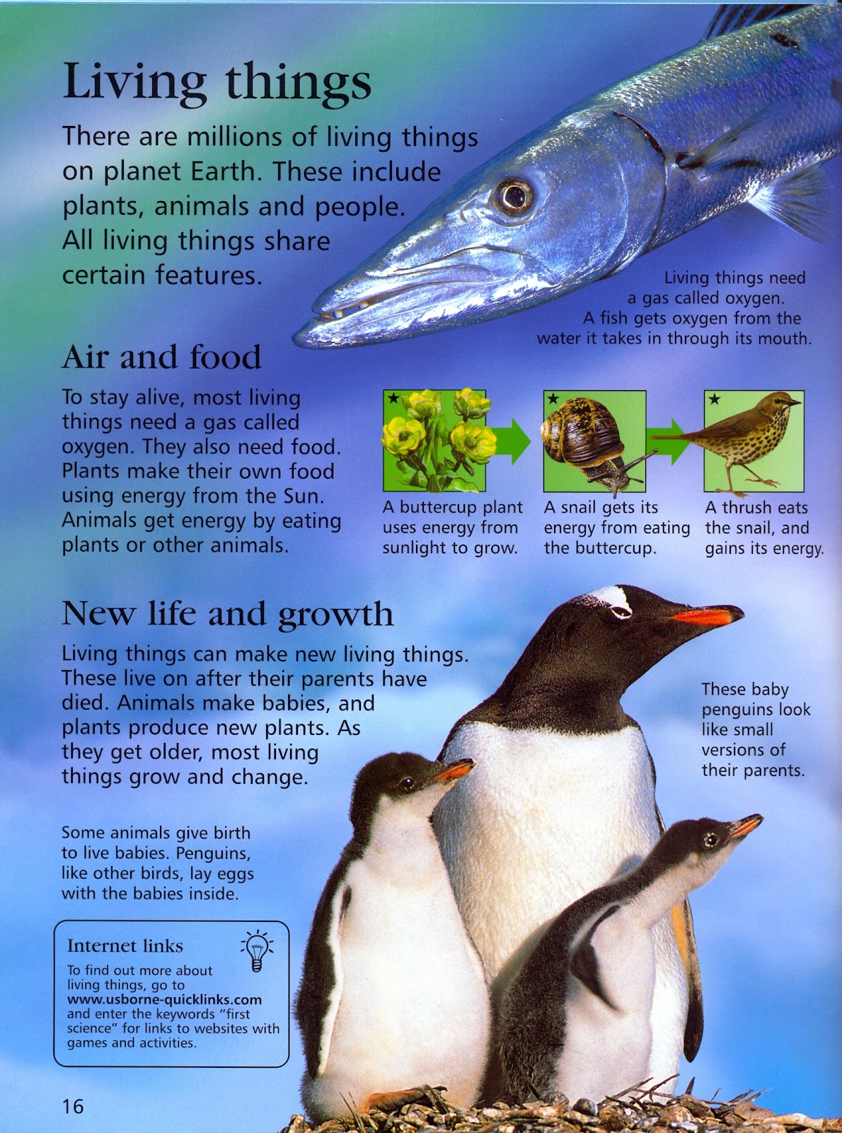 scienceclass5th: CURIOSITY CORNER