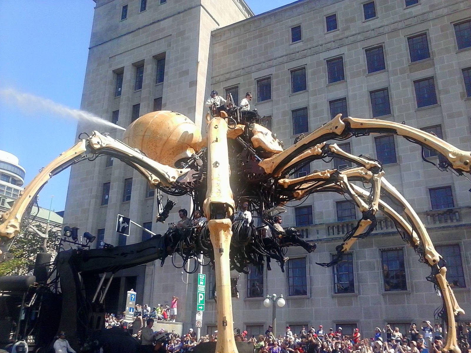 Ottawa Daily Photo: A Giant Spider On A Stroll