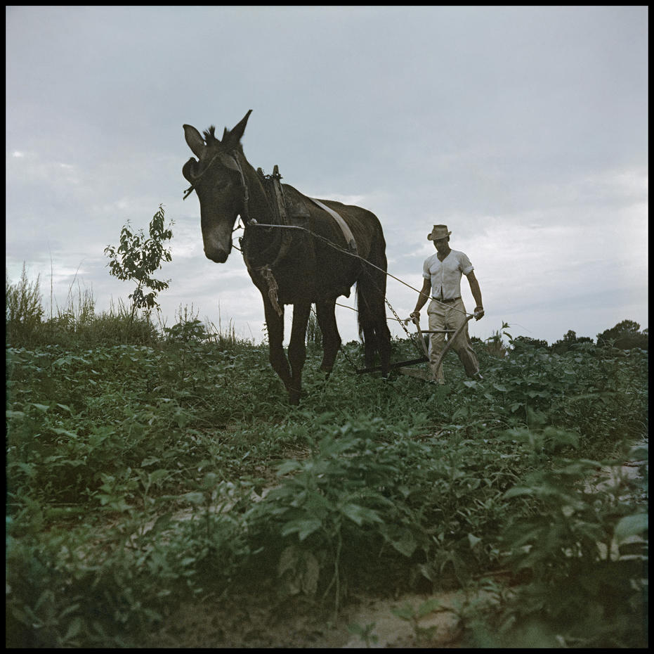 Amazing Color Photographs Capture Faces of Segregation in the South of ...
